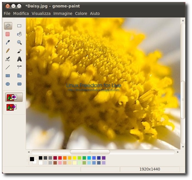 Gnome-Paint Semplice Applicazione per Disegnare, Colorare e Modificare ...